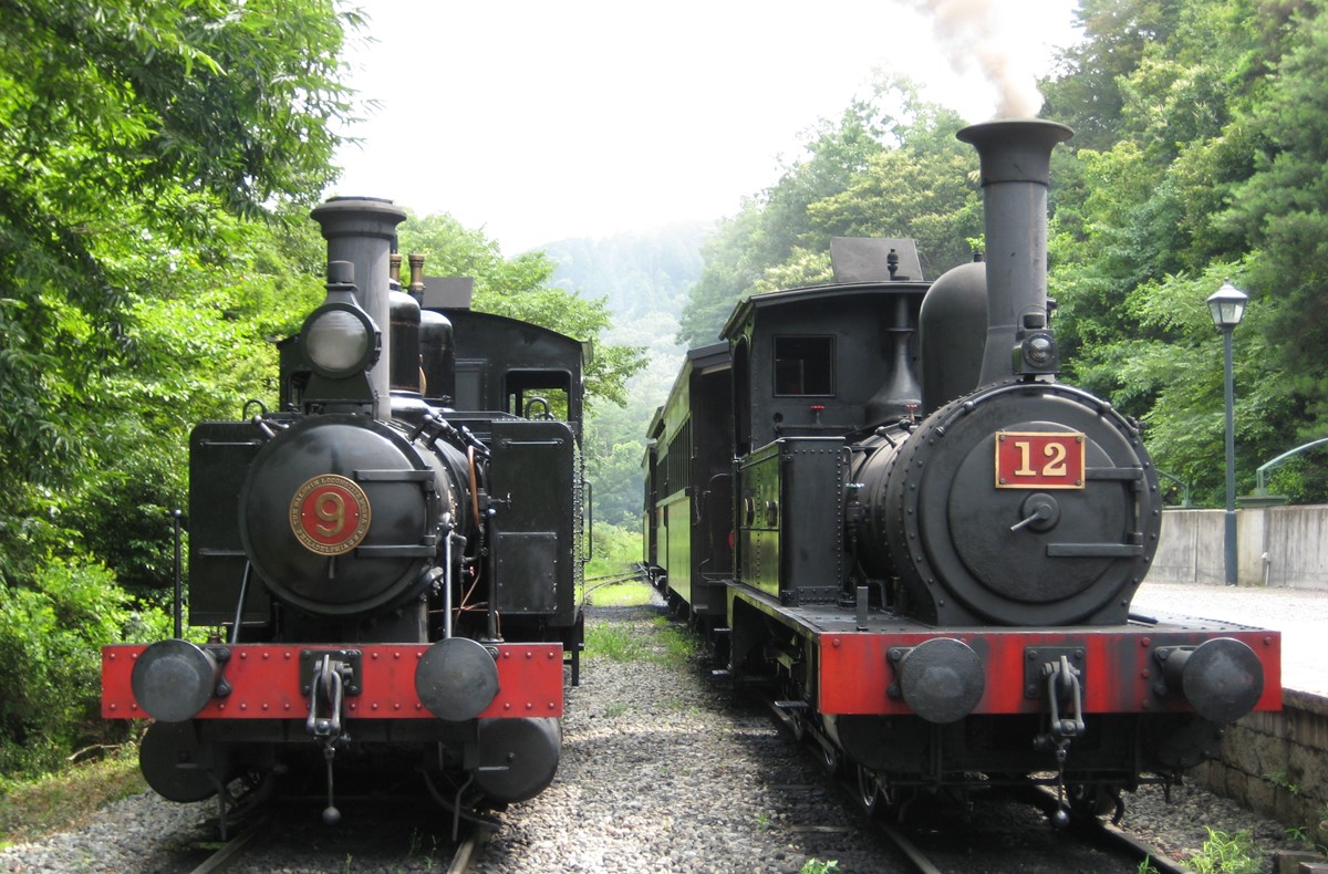 動態保存されている国内最古のSL！「12号」が明治村を駆け抜ける勇姿に感動｜メイジノオト